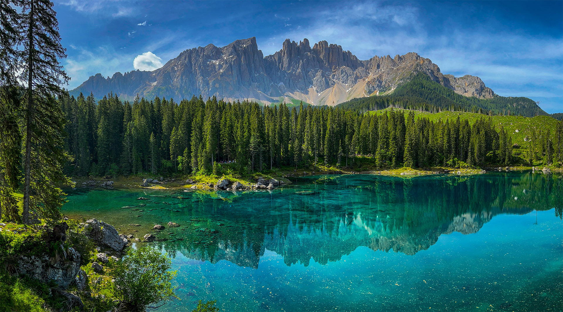 Get Involved - Carbonwise