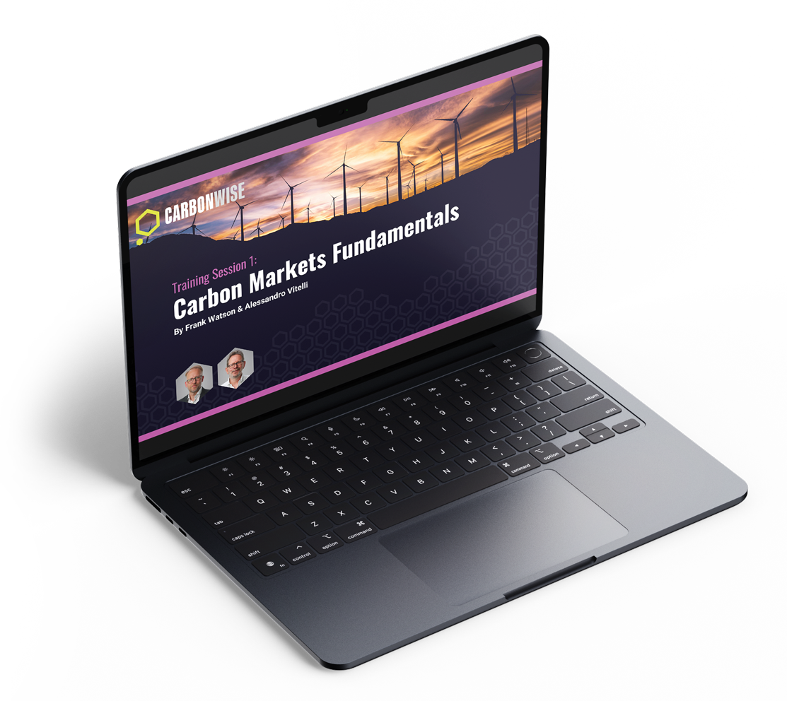 Carbon Markets Fundamentals - Video - Carbonwise