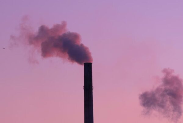 What is BECCS? - Carbonwise