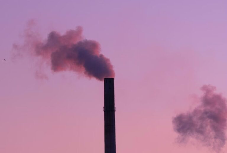 What is BECCS? - Carbonwise